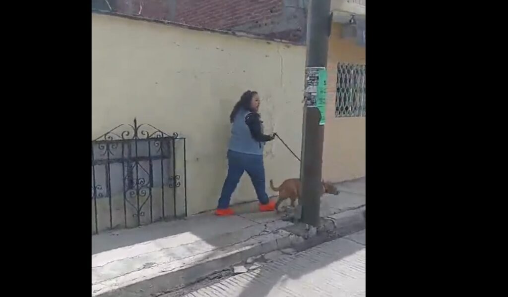 'Lady Popo' rechaza recoger excremento de su perro y grita que la ...