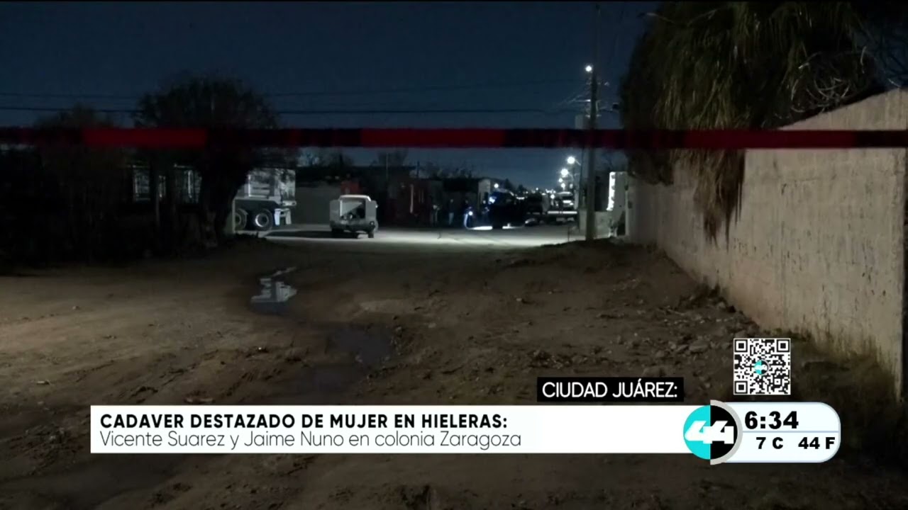 Cadáver destazado de mujer en hieleras – El Canal de las Noticias Digital