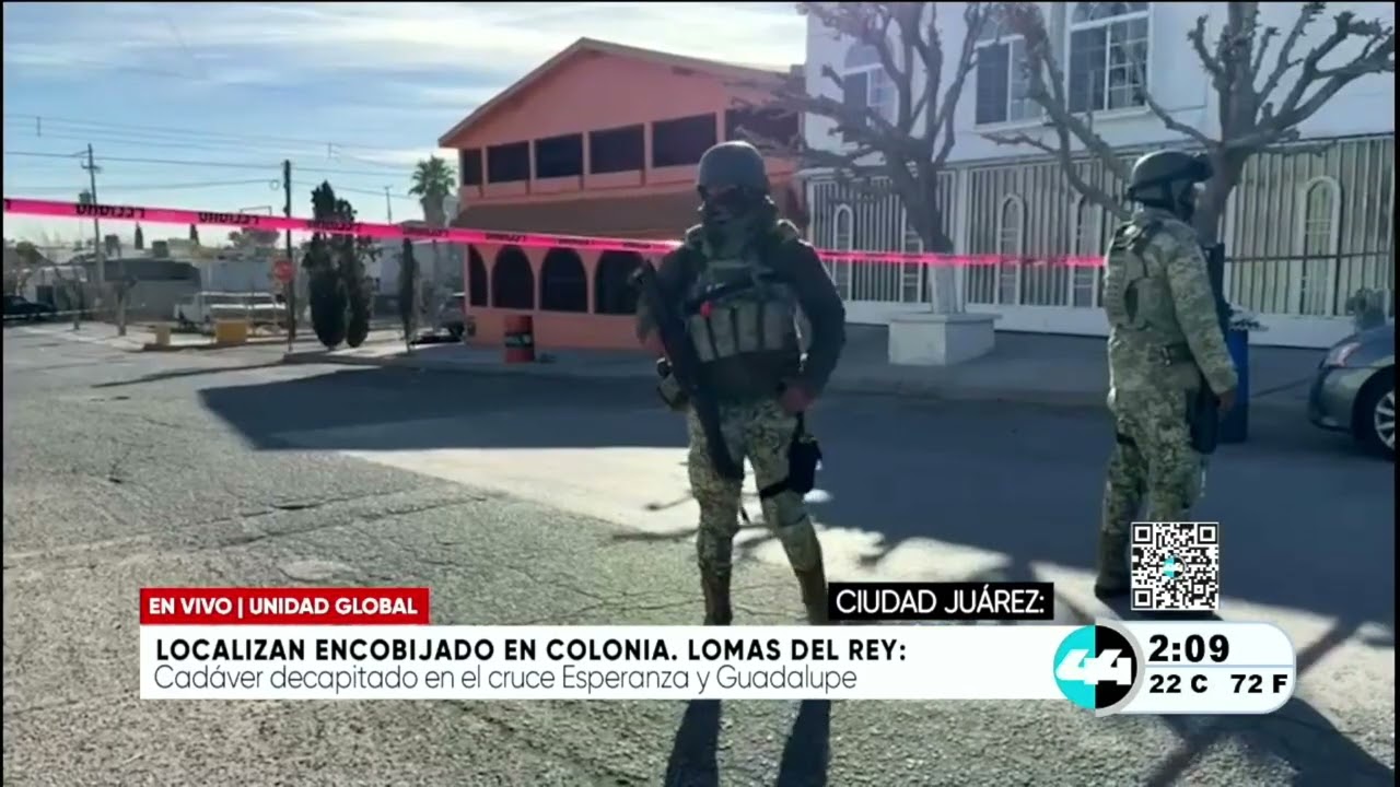 Localizan en cobijado en la colonia Lomas Del Rey – El Canal de las ...