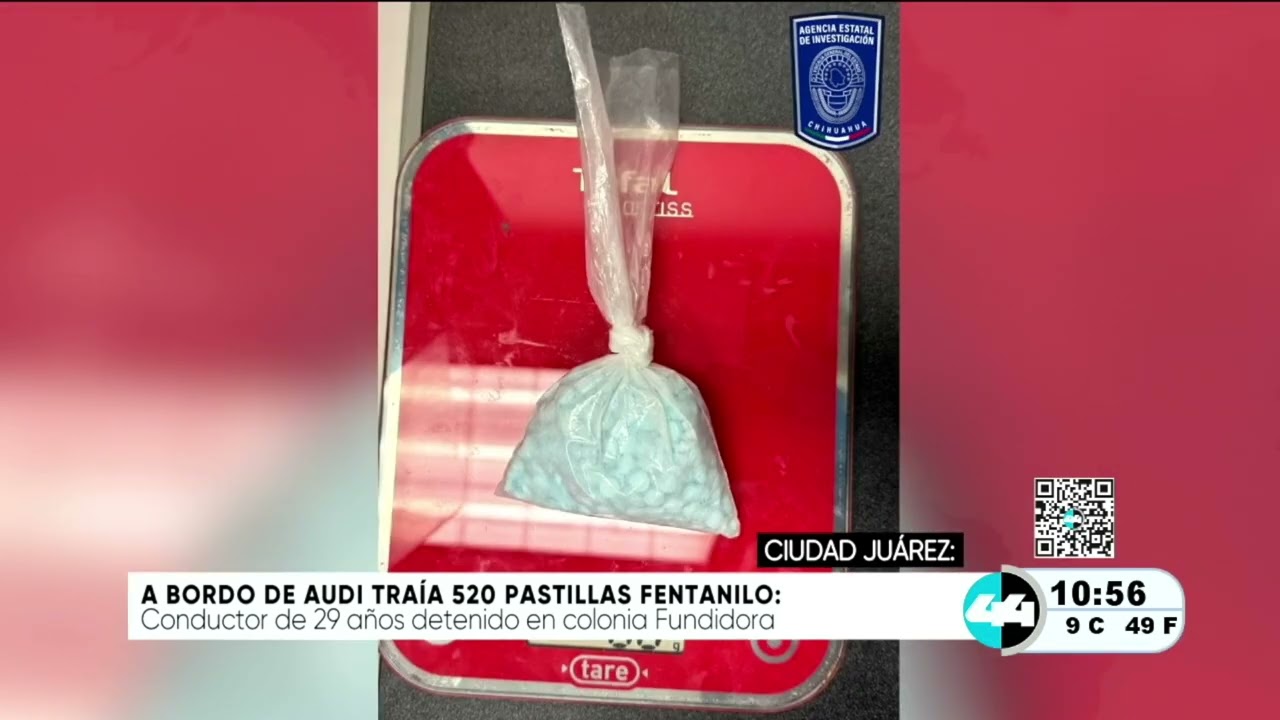 A bordo de audi traía 520 pastillas fentanilo – El Canal de las ...