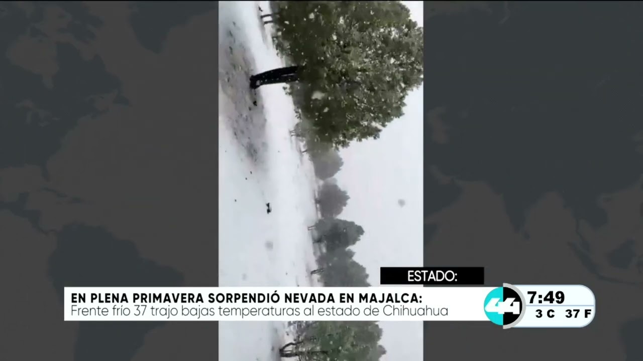 En plena primavera sorprendió nevada en Majalca - El Canal de las ...
