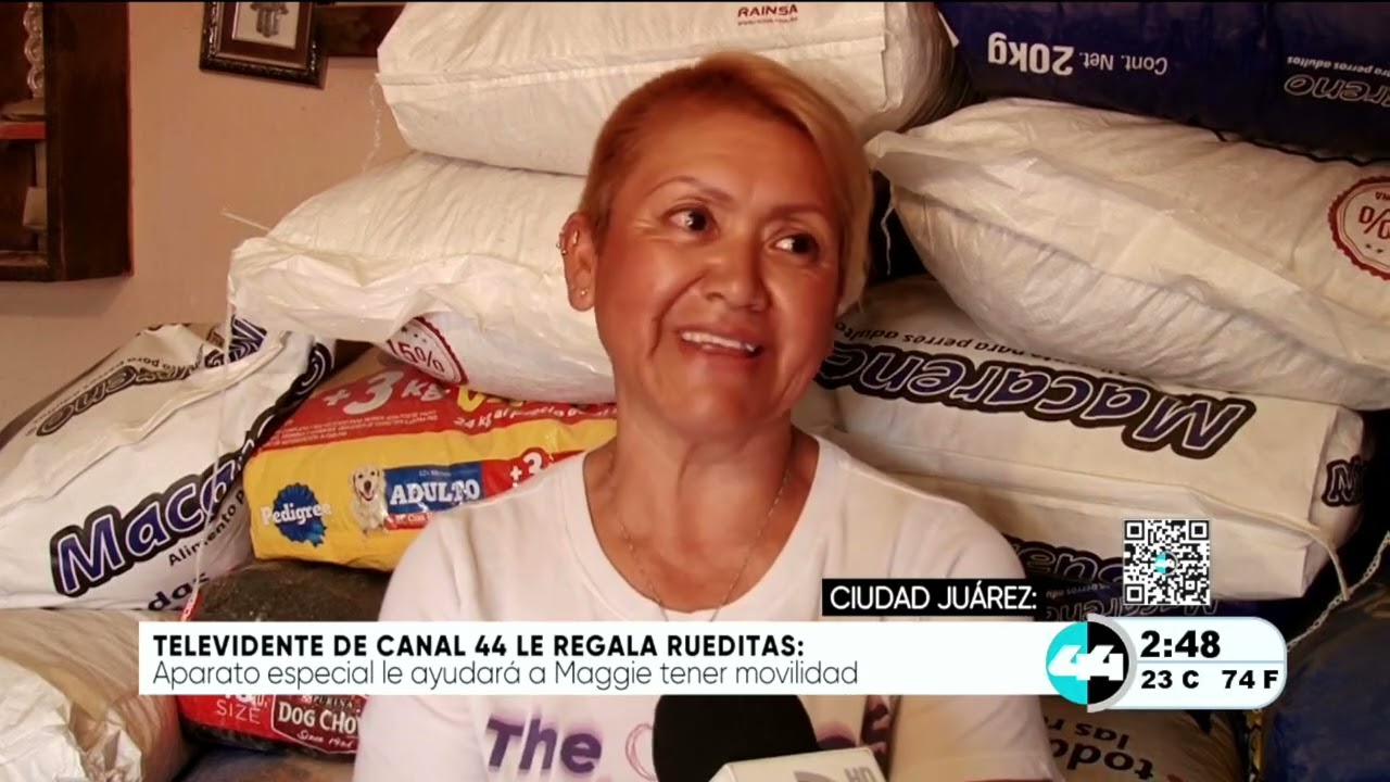 Televidente del Canal 44 le regala rueditas – El Canal de las Noticias ...