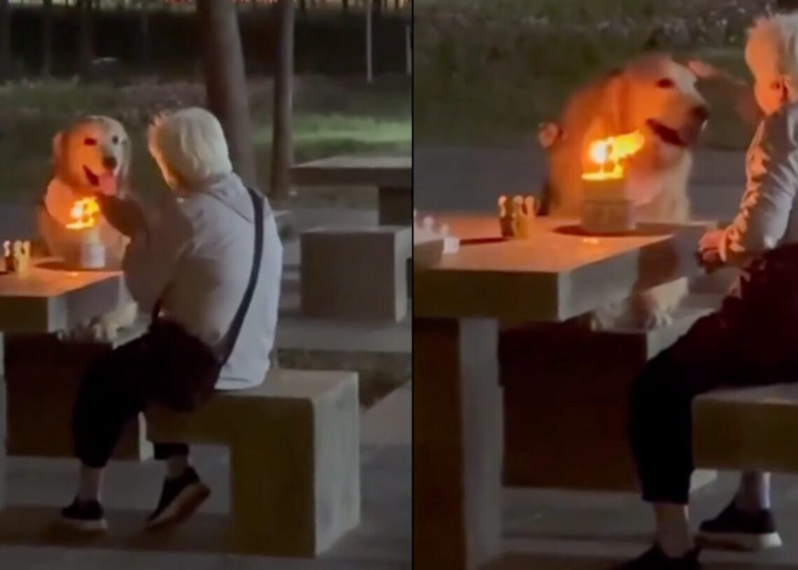 El origen detrás del viral "¡Ya llegaron las pipshas!"que conquistó TikTok - El Canal de las ...