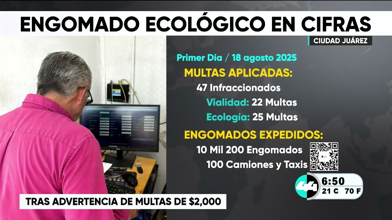 Engomado ecológico en cifras – El Canal de las Noticias Digital