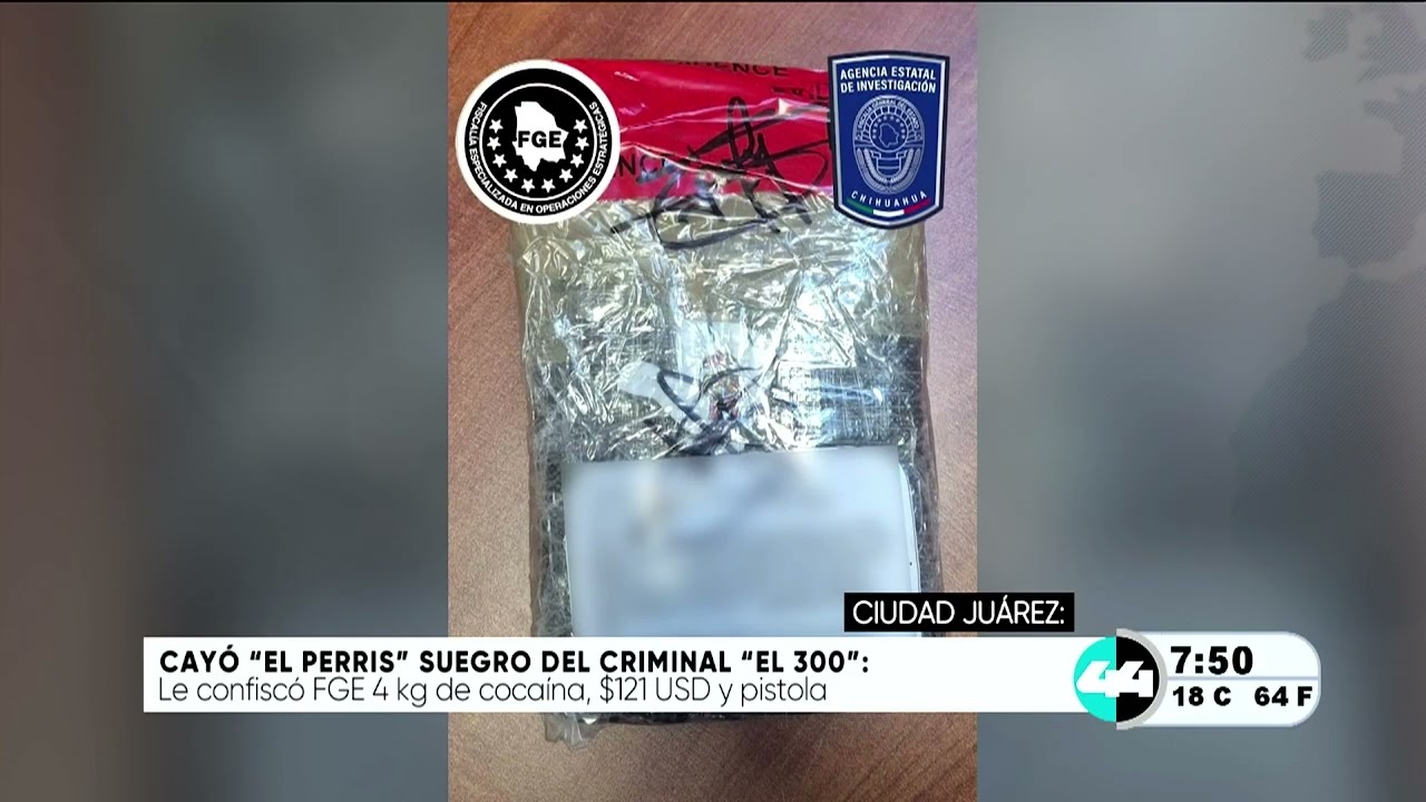 Cayó “El Perris” suegro del criminal “El 300” – El Canal de las ...