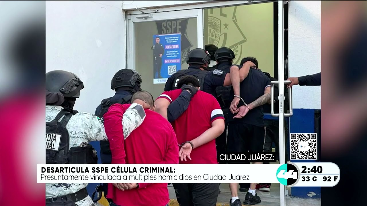 Desarticula SSPE cédula criminal – El Canal de las Noticias Digital
