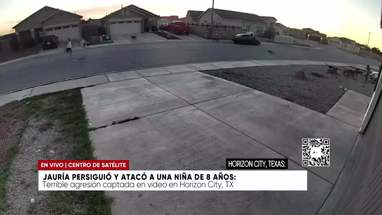 Jauría persiguió y atacó a una niña de 8 años – El Canal de las ...