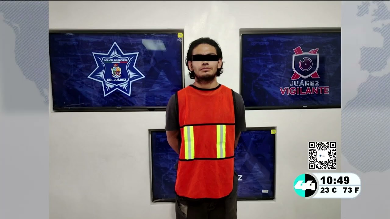 Tipo colgó a perrita ¨canelita¨ de un árbol – El Canal de las Noticias ...