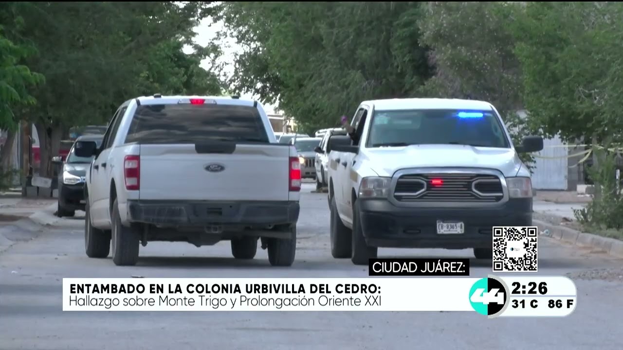 Entambado en la colonia Urbvilla del Cedro - El Canal de las Noticias ...