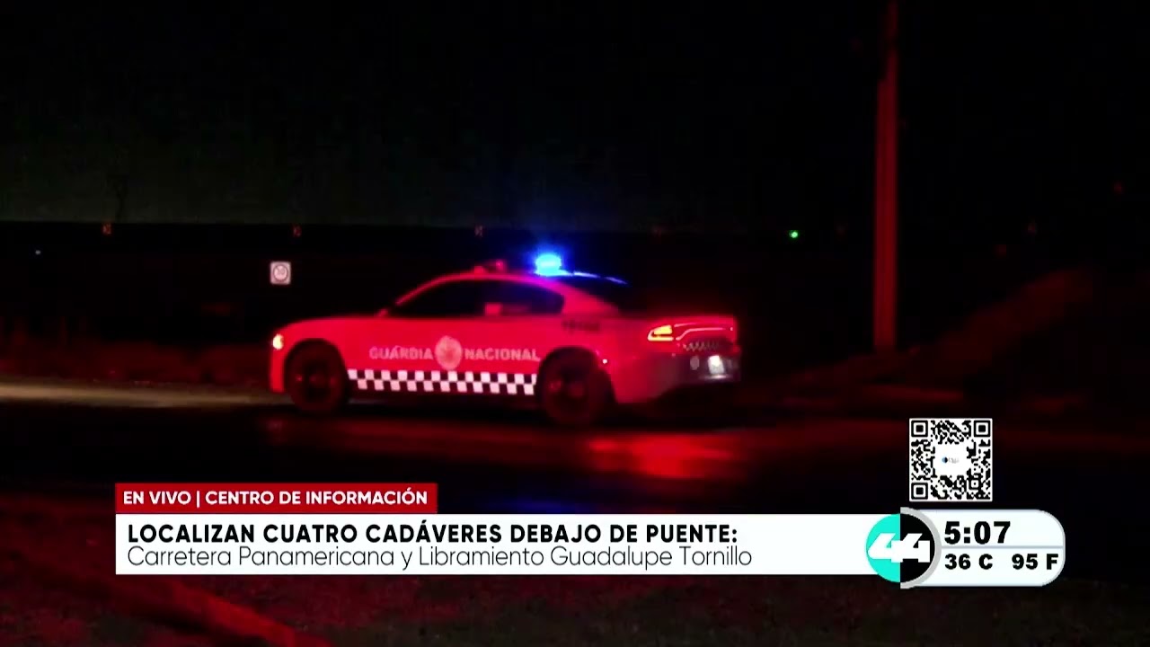 Localizan cuatro cadá.veres debajo de puente - El Canal de las Noticias ...